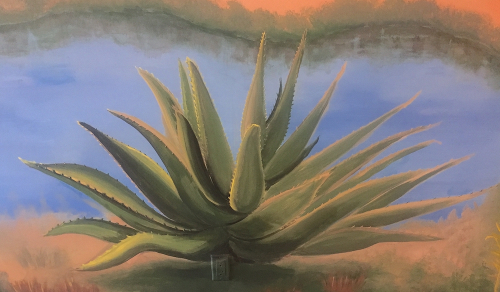 YVStudio_Agave – YVStudio